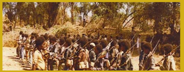 Tigray Overview – Omna Tigray