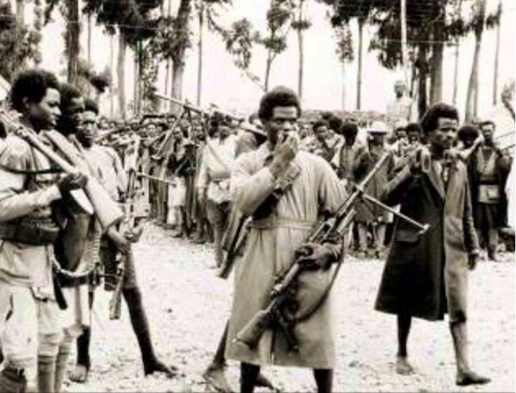 The Historical Significance of Adwa – Omna Tigray
